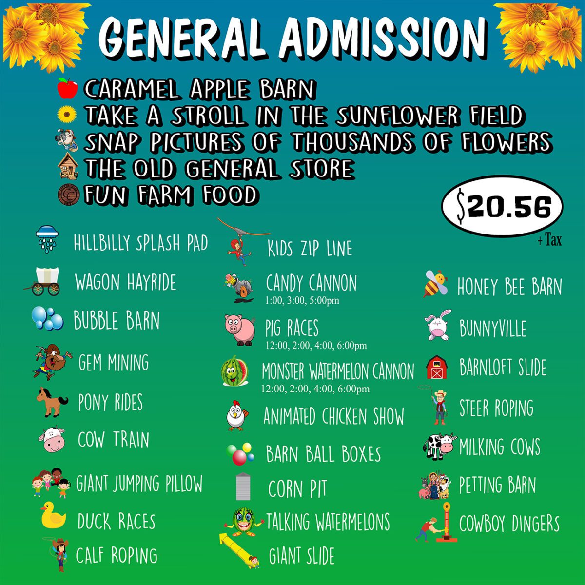 Copper Creek Farm Sunflower Festival | Calhoun, Georgia